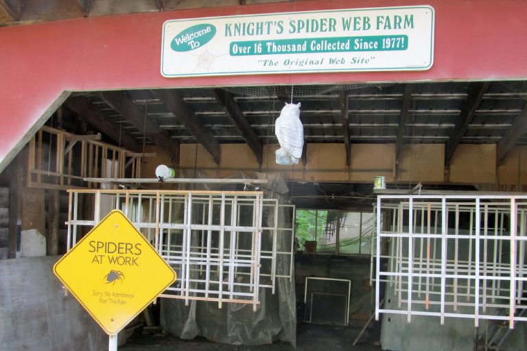 Will's Notebook @spiderwebfarm.com | Random thoughts from the original ...